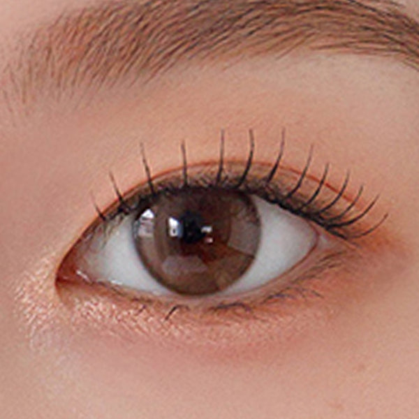 Sugar High Kristin 1day Ash Choco – eotd JP